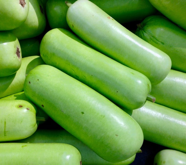 LONG SQUASH HN – Veggiepluscashandcarry